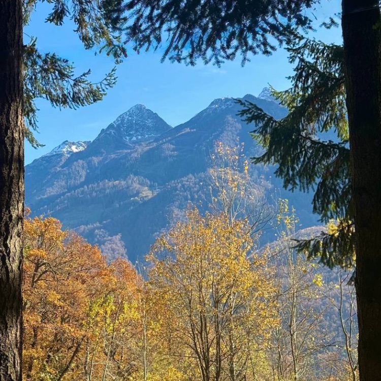 Иконка канала channel55903260