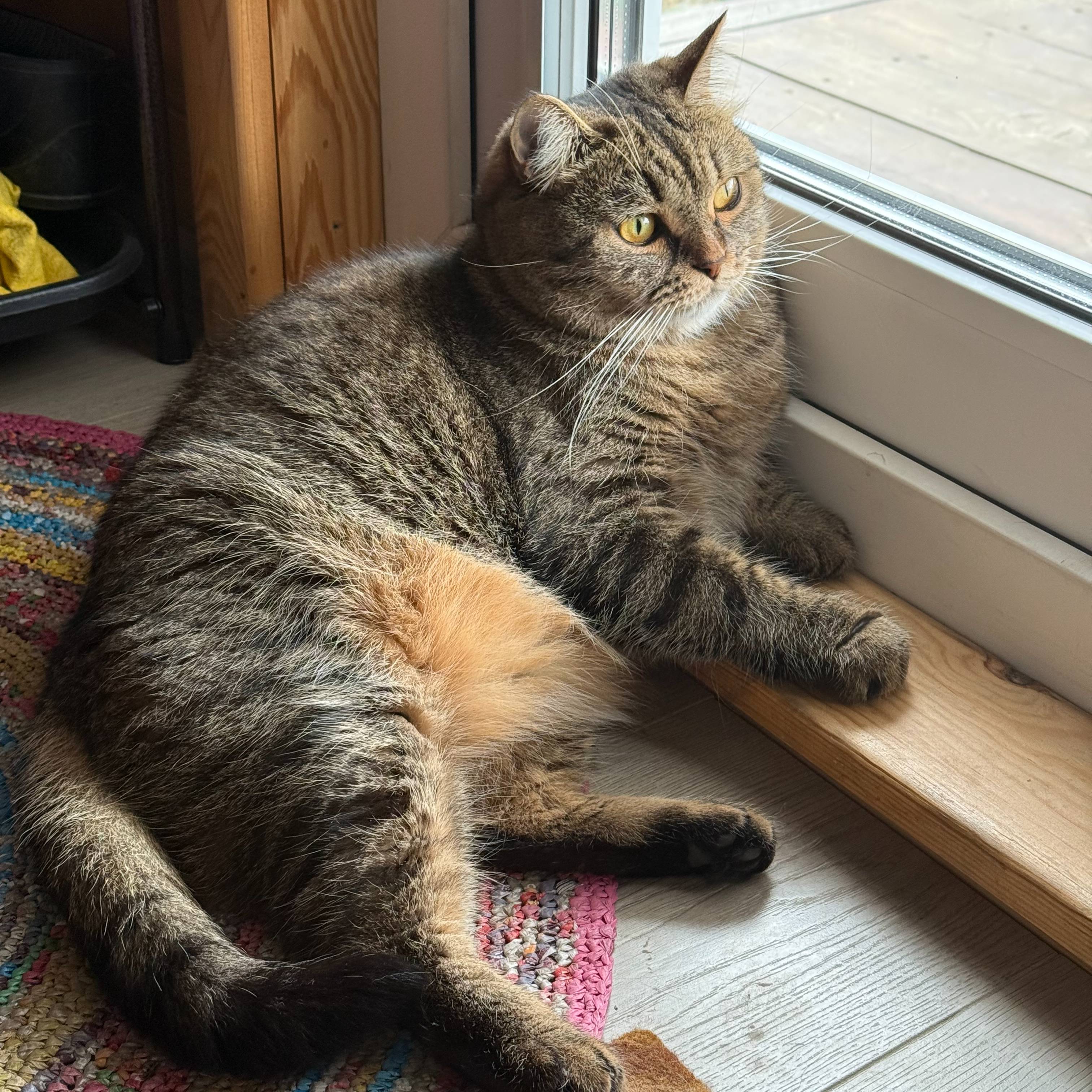 Иконка канала #УралОгород