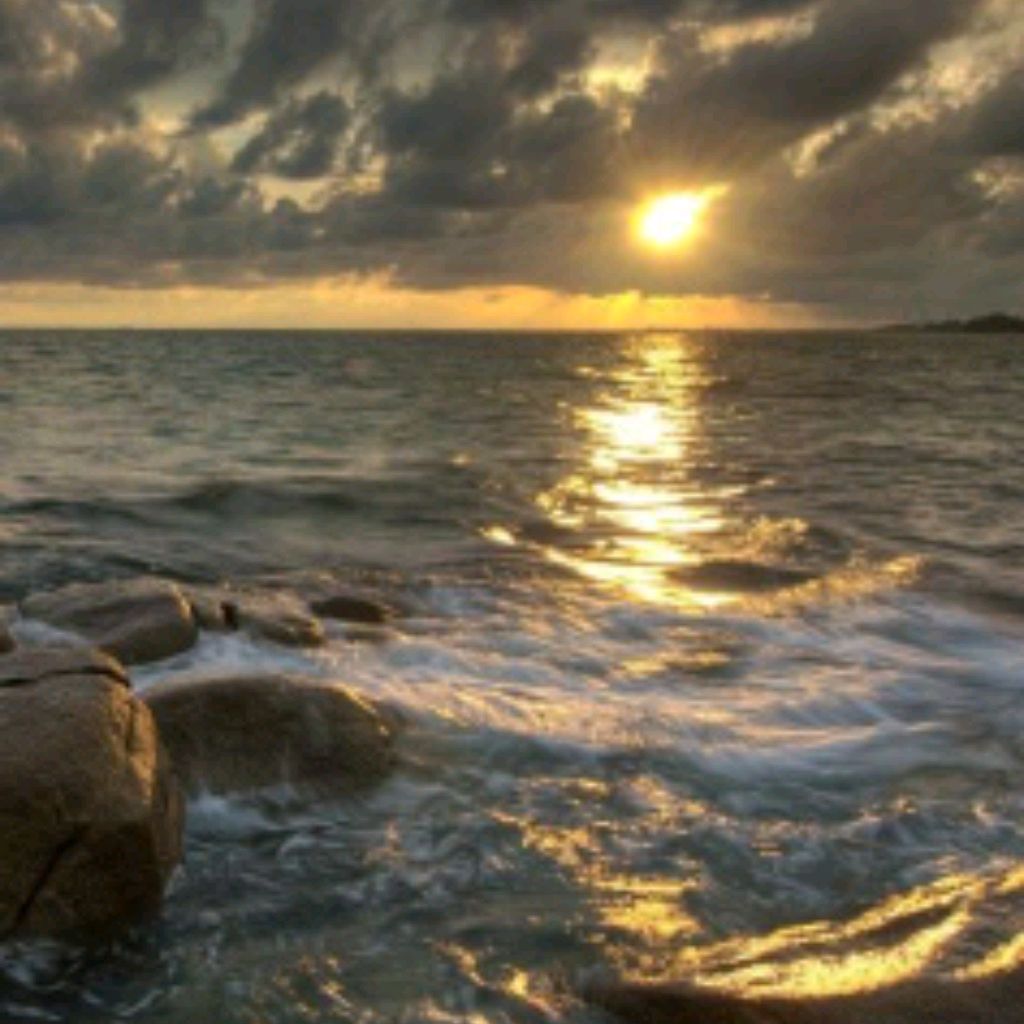 Иконка канала 🪼💎Beauty Nook🌑🦋