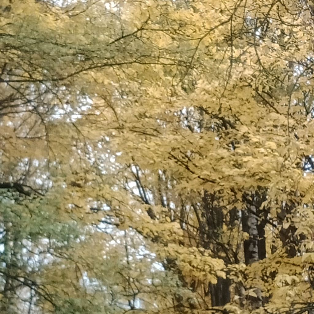 Иконка канала Я Люблю Tумку!☺