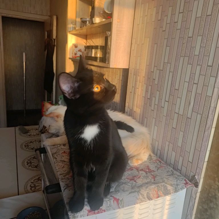 Иконка канала VikTorKarDanoV