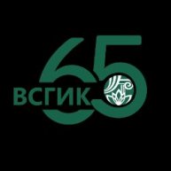 Иконка канала ВСГИК