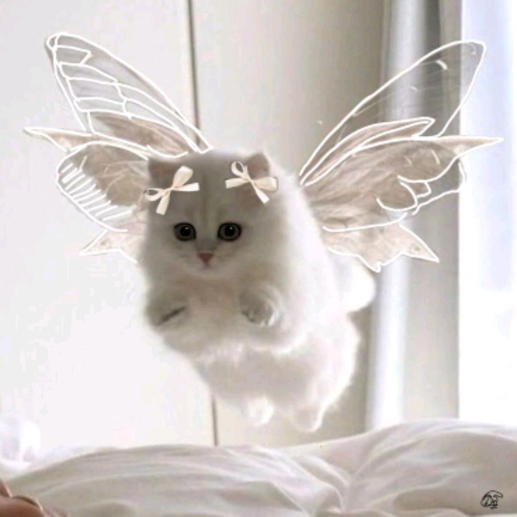 Иконка канала ♡~•ŊŲŢĘĻĻÆ•~♡