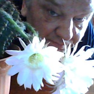 Иконка канала Сказки   для  всех  возрастов.