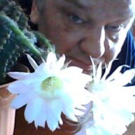 Иконка канала Сказки для всех возрастов.