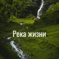 Иконка канала riveroflife