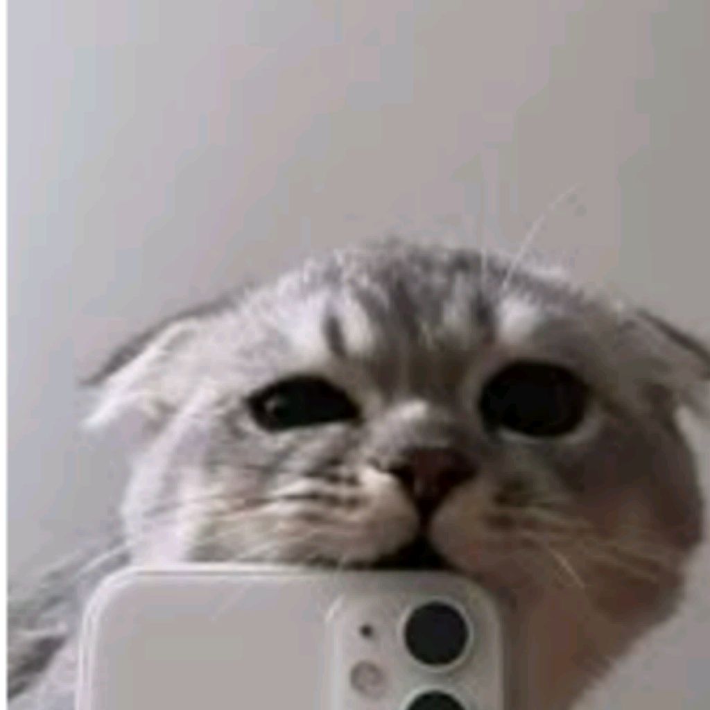 Иконка канала ksenia kotenok2025