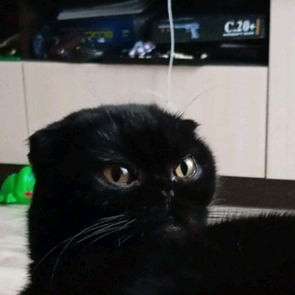 Иконка канала stepan4ik_1.18.12_