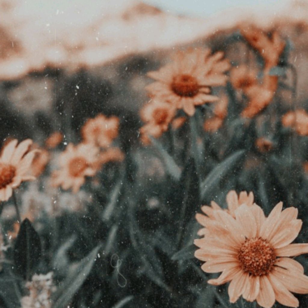 Иконка канала Дианка💚💛днк