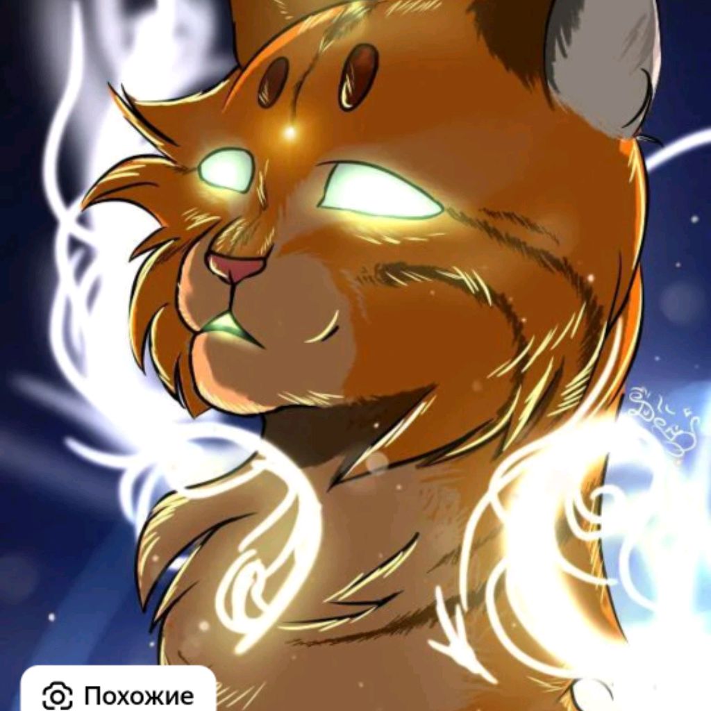 Иконка канала Ток Кот Воин