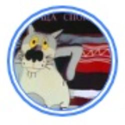 Иконка канала Виталий Ремесленик Проект Русское кантри