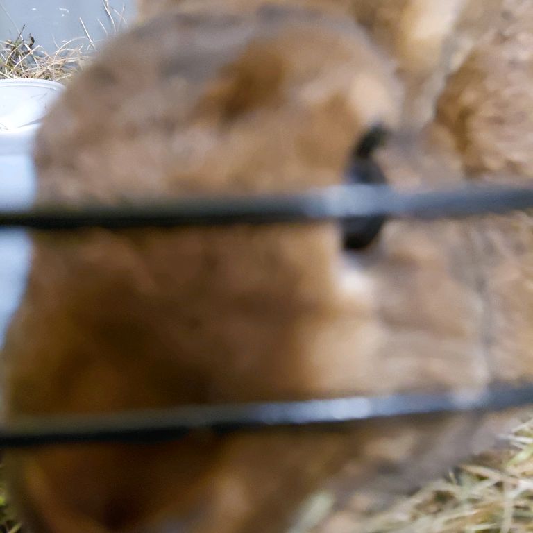 Иконка канала Супер