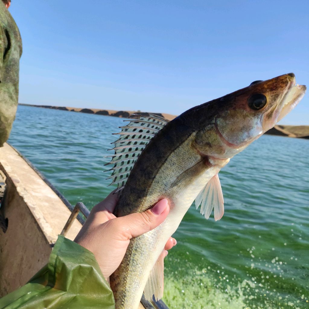 Иконка канала #Рыбалка134