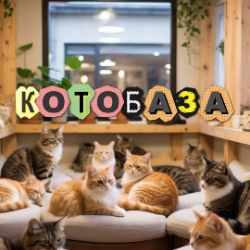 Иконка канала КОТОБАЗА