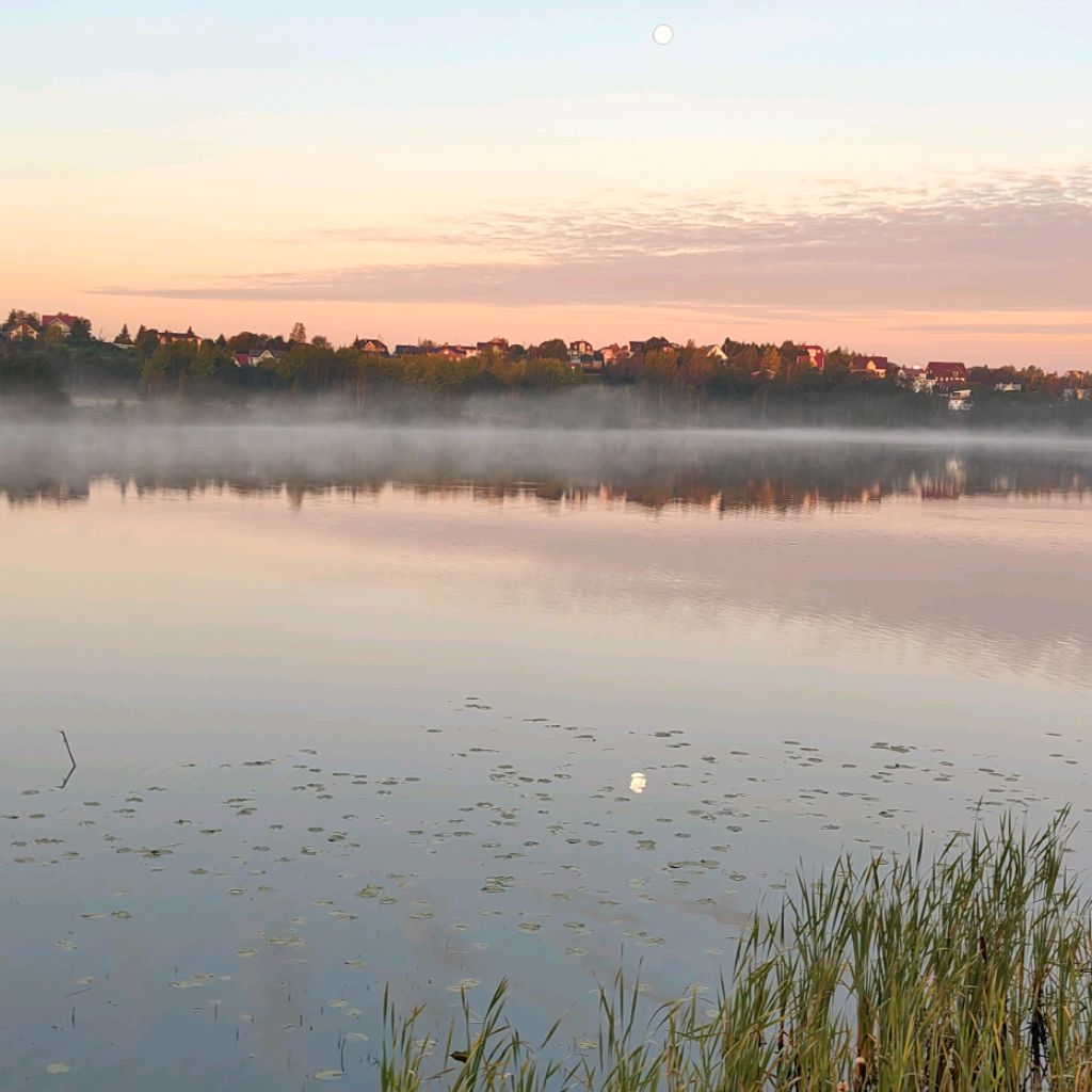 Иконка канала Станислав Алешин
