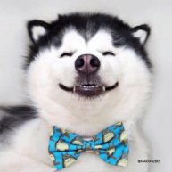 Иконка канала mne7let