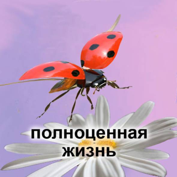 Иконка канала «Полноценная жизнь» дискуссионный клуб