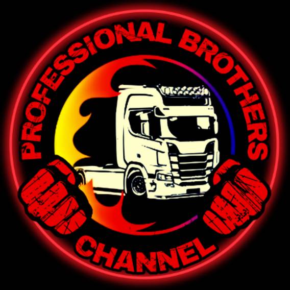 Иконка канала ПРОФЕССИОНАЛЬНЫЕ БРАТЬЯ