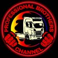 Иконка канала ПРОФЕССИОНАЛЬНЫЕ БРАТЬЯ