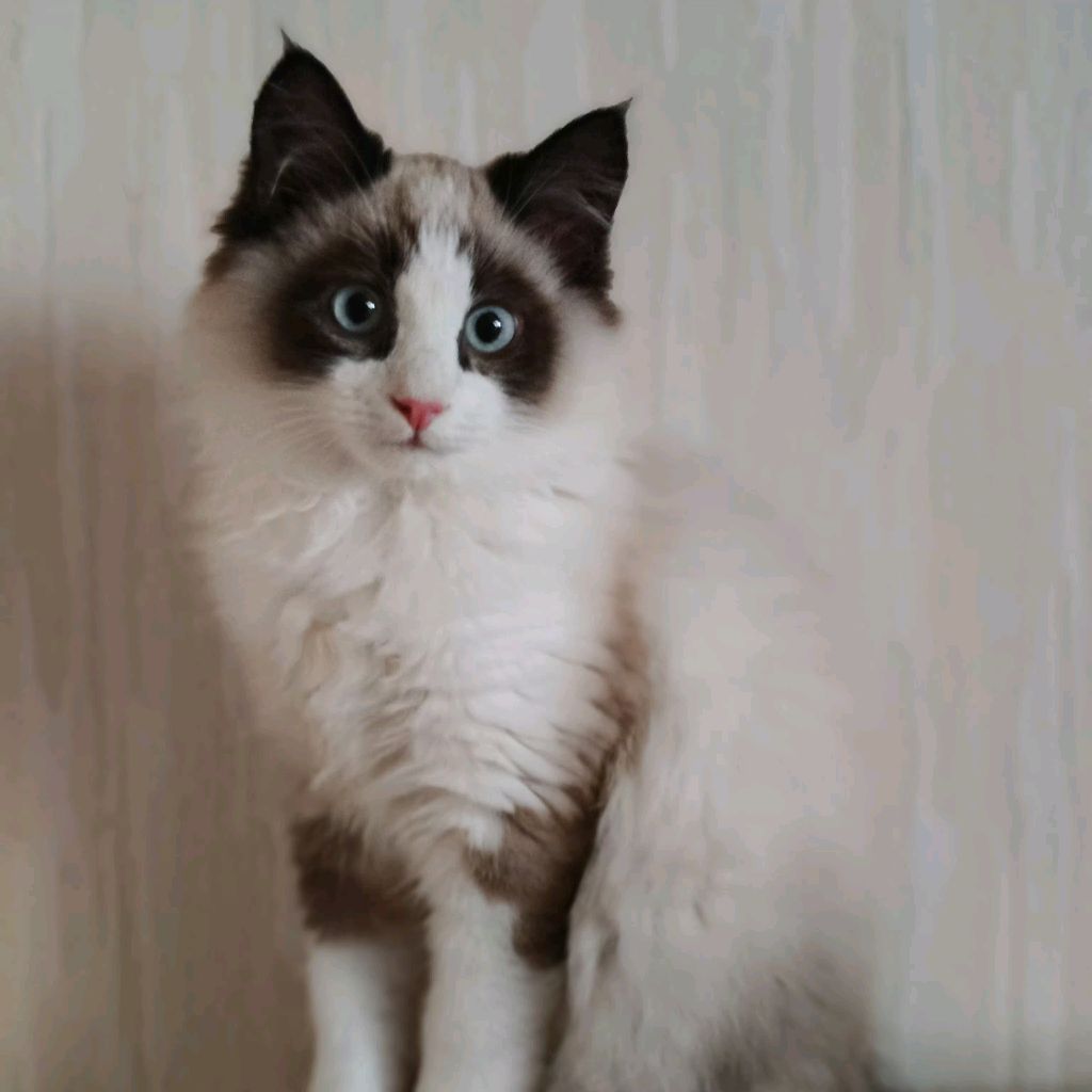 Иконка канала В Гостях У Тимошки:)