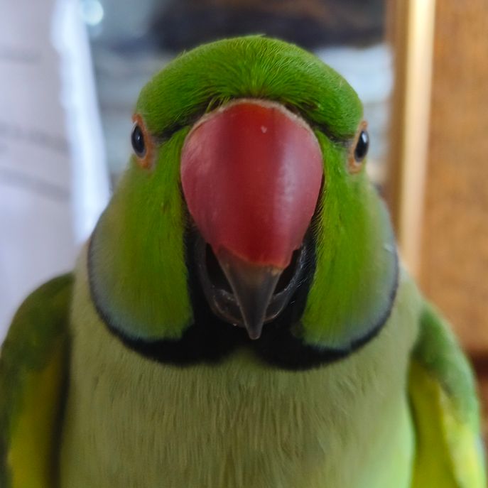 Иконка канала Ажерков Ажерка Ажеркович