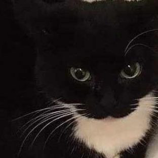 Иконка канала rom123