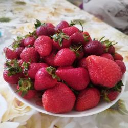 Иконка канала Vik_RT5