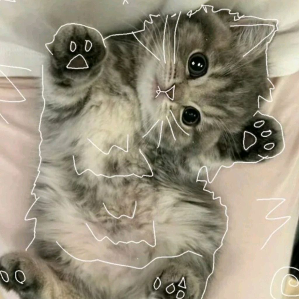 Иконка канала Bear_cats