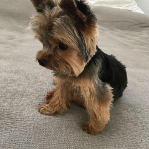 Иконка канала 💜🤍Люби творить чудеса 💜🤍