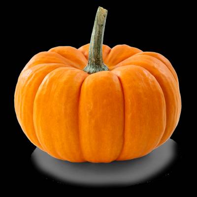 Иконка канала 💖༺Ī𝓇Ꭵຮ𝗵𝒌ą༻💖༺Канал обо всем༺💖