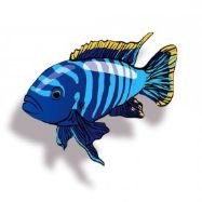 Иконка канала Аквариумистика за Рубежом. NEO_Interpret®