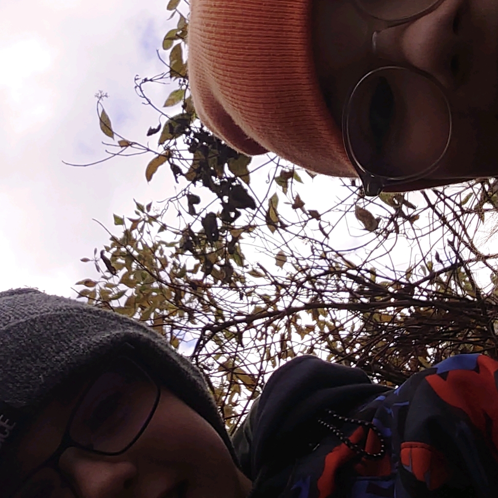 Иконка канала Б5 и животные