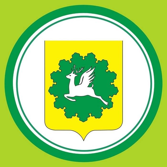 Иконка канала Администрация Ибресинского муниципального округа