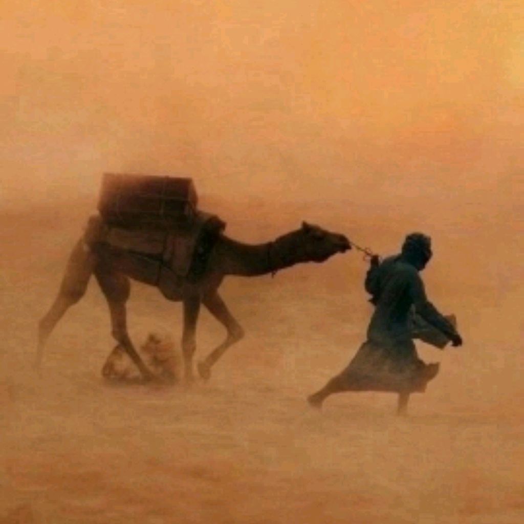 Иконка канала Тук -Тук