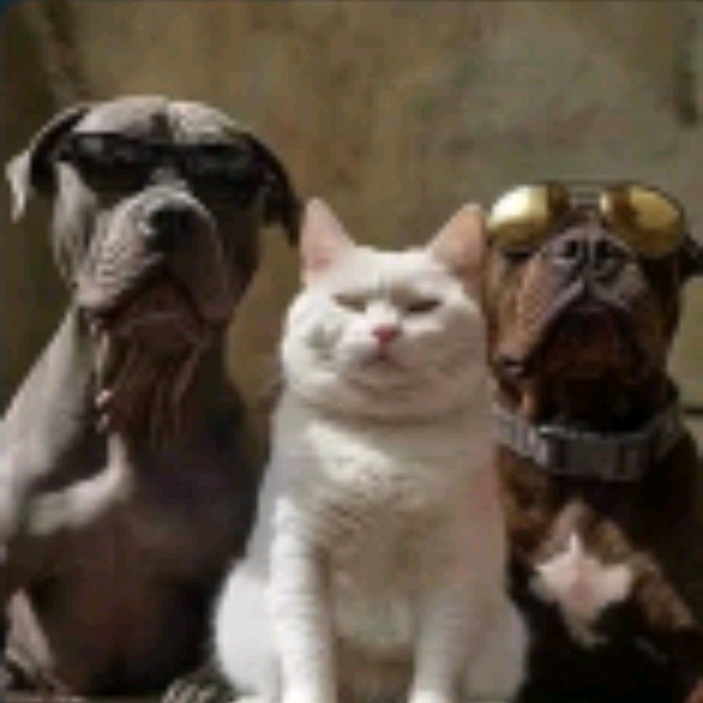 Иконка канала Крутач