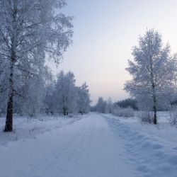 Иконка канала channel72177032