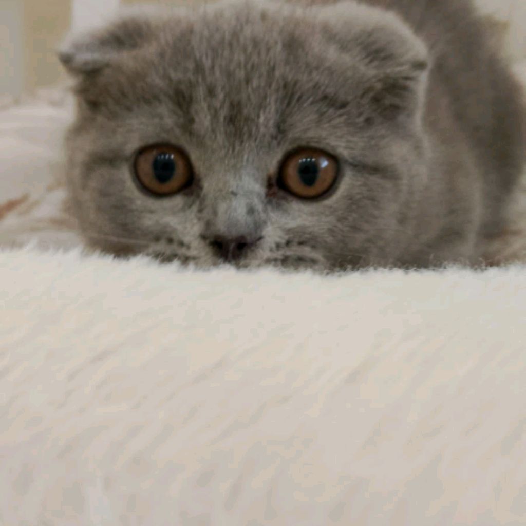 Иконка канала ♡♡♡♡♡♡♡♡♡