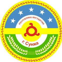 Иконка канала Администрация г.Сунжа