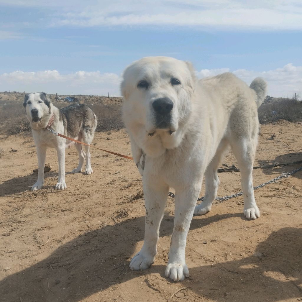 Иконка канала Infantrys