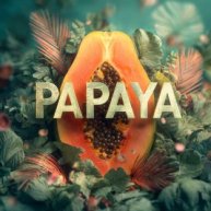Иконка канала PAPAYA slim