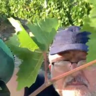 Иконка канала Южный виноградник