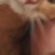 Иконка канала Гусев Алексей