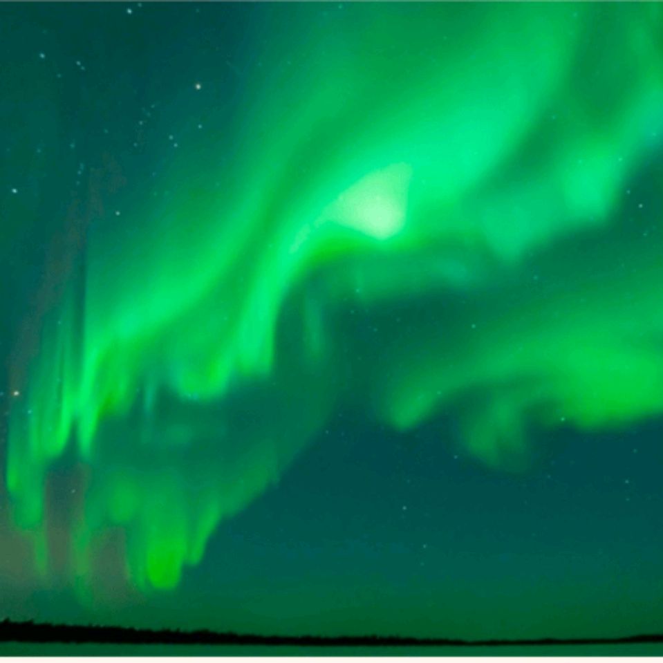 Иконка канала Улыбка Северного Медведя