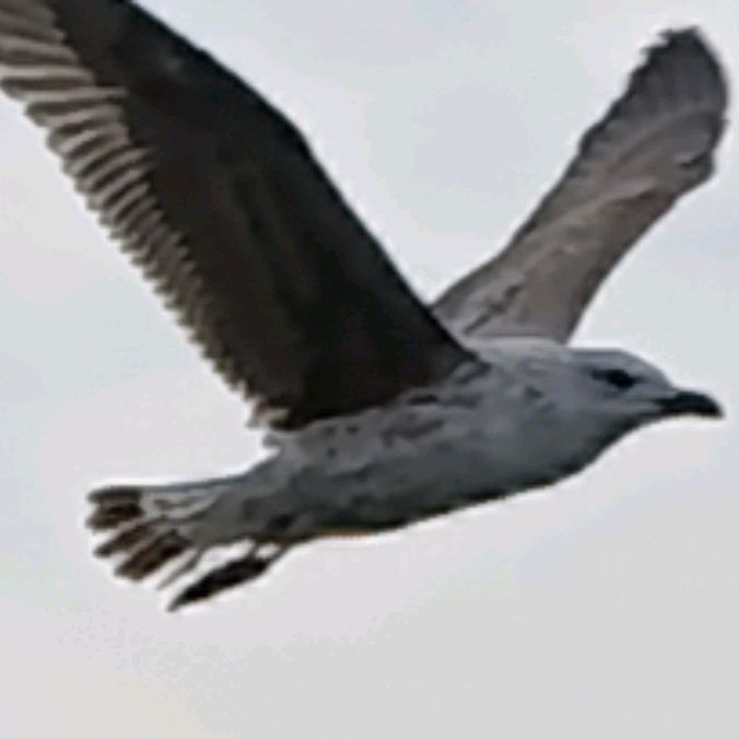 Иконка канала Евик