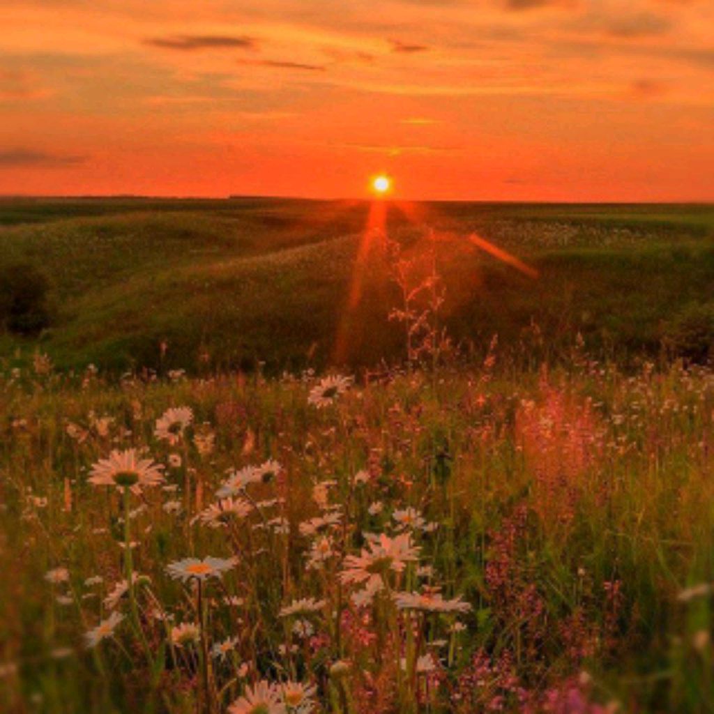 Иконка канала Время Пролетает💝🍁🔥