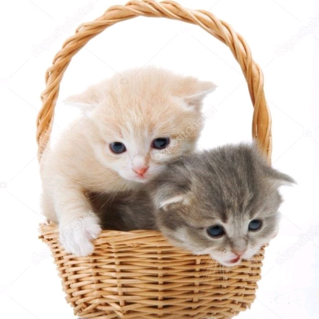 Иконка канала Миня Зовут Ника