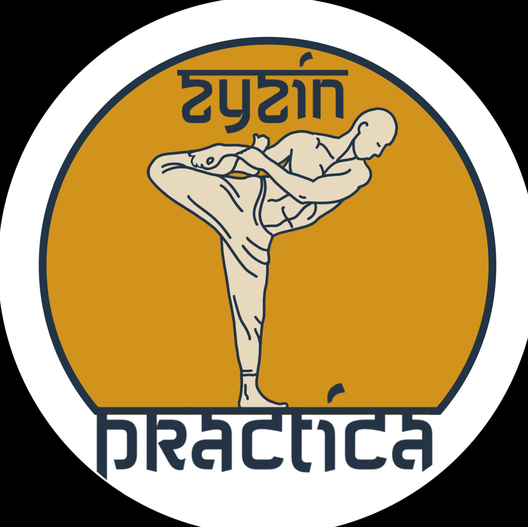 Иконка канала Zyzin Practica