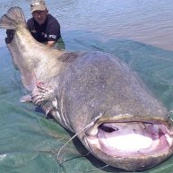 Иконка канала Solaas-Алексей