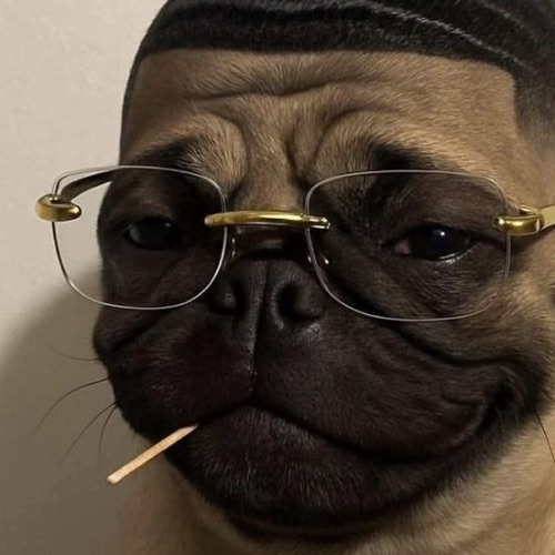 Иконка канала Didlt