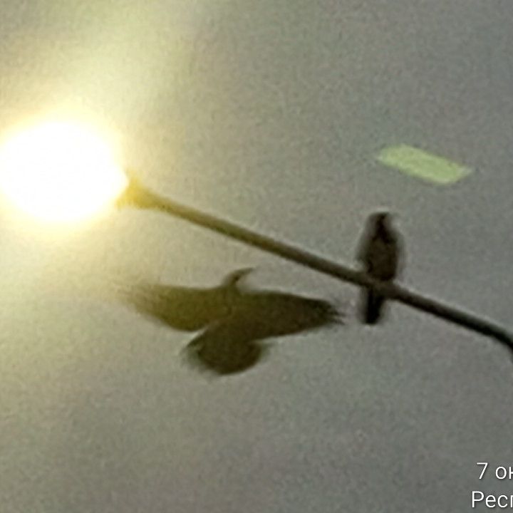 Иконка канала ДИРИДА студия - DIRIDA studio